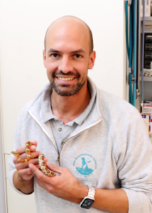 Alexander R. Rummel – Zukunft-Tiermedizin.vet